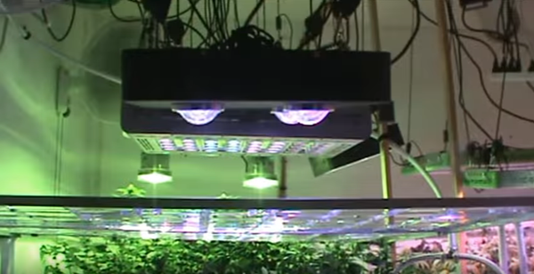 pscroginstalled_5ed43750-f056-40c3-b9df-d1f0f08b94c0_grande.png?v ...